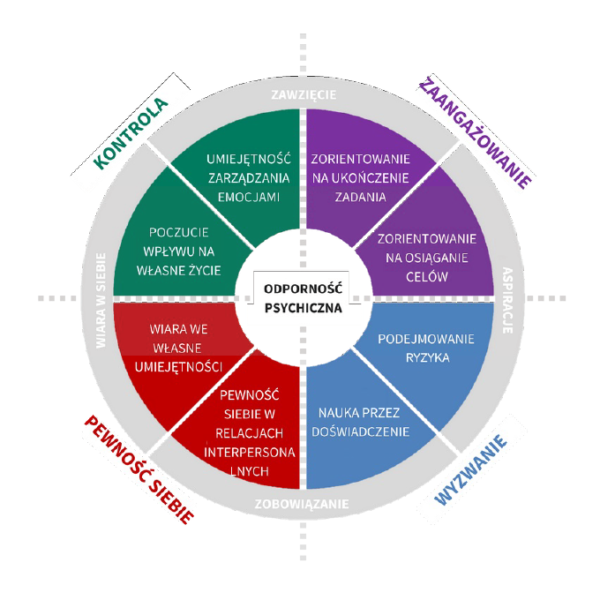 przegląd odporności psychicznej MTQ Plus + 5 sesji online